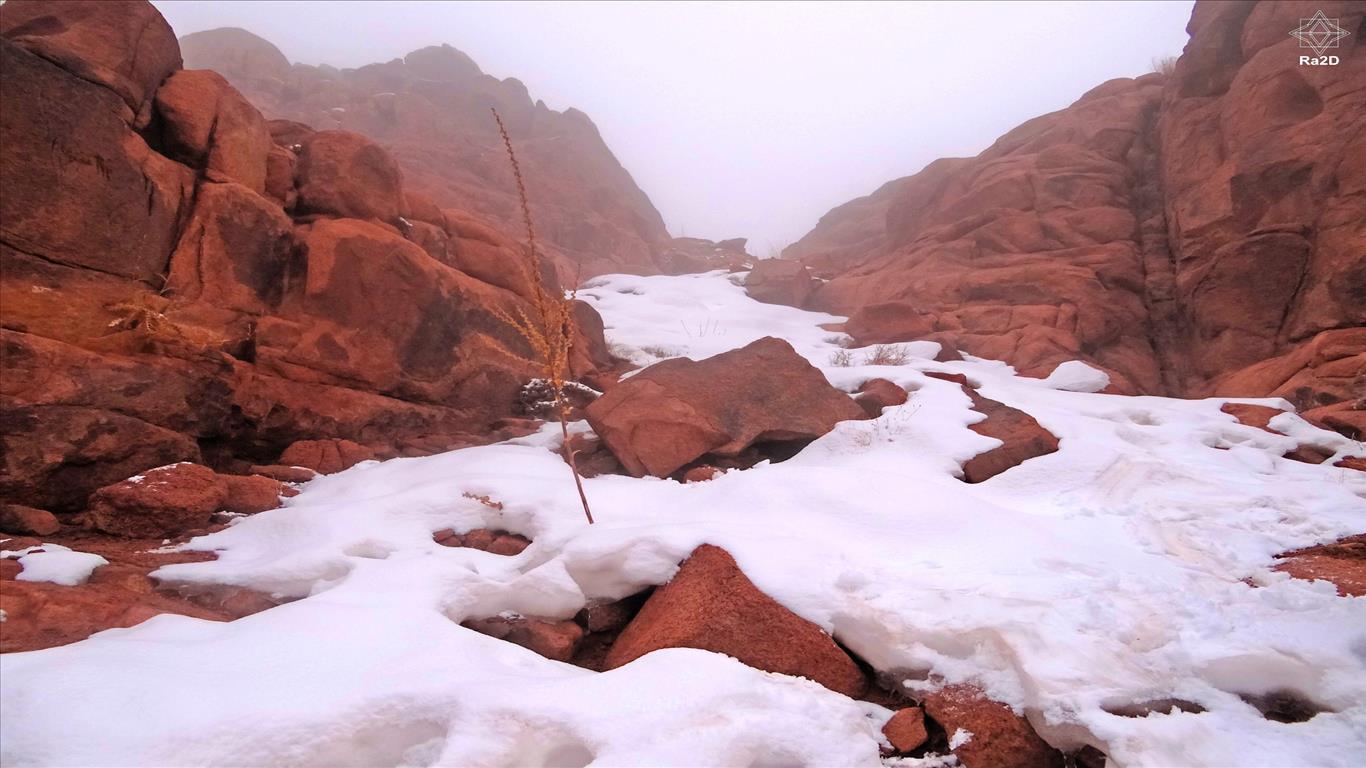 Egypt-Sinai-Saint-Catherine-Mountain-Snow-Ra2D - Exclusive Wallpapers ...